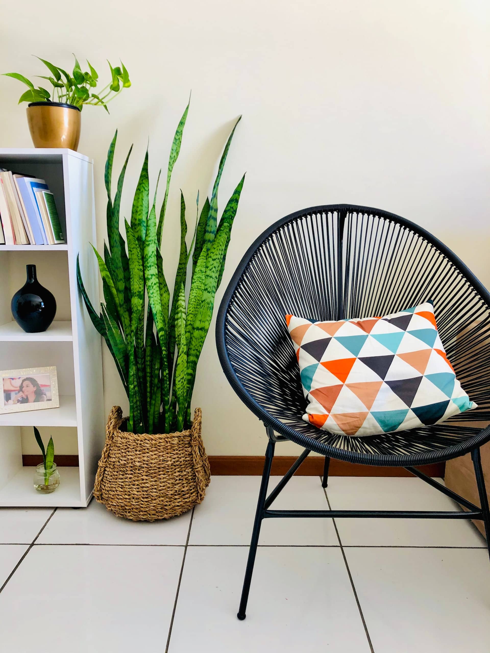 tout savoir sur le fauteuil Acapulco